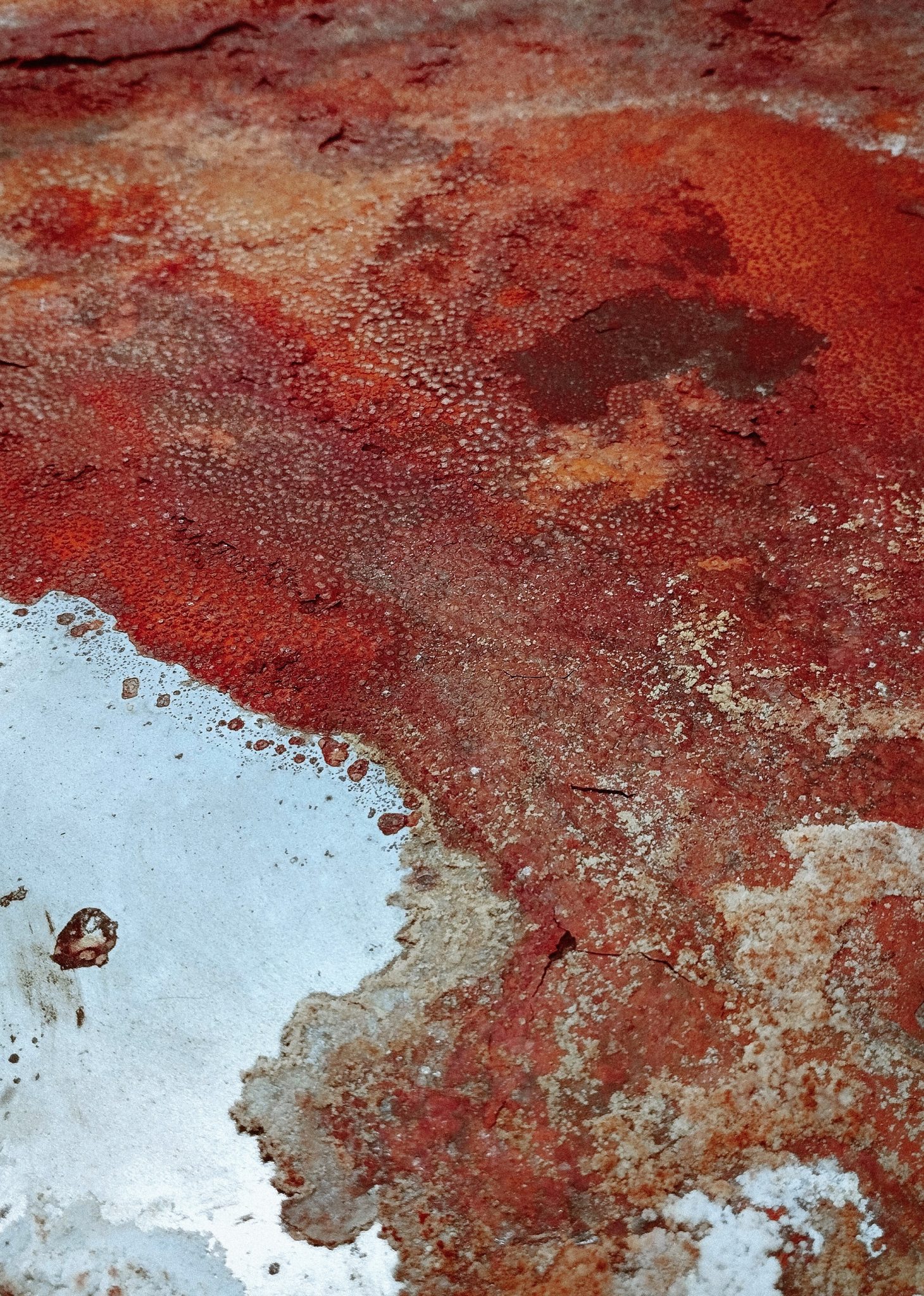 Kristiina Mäenpää: Core Collapse - HAM