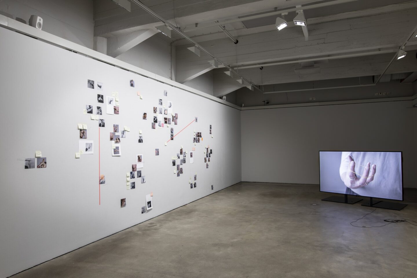 Laura Cemin: Paper notes and pinecones - HAM