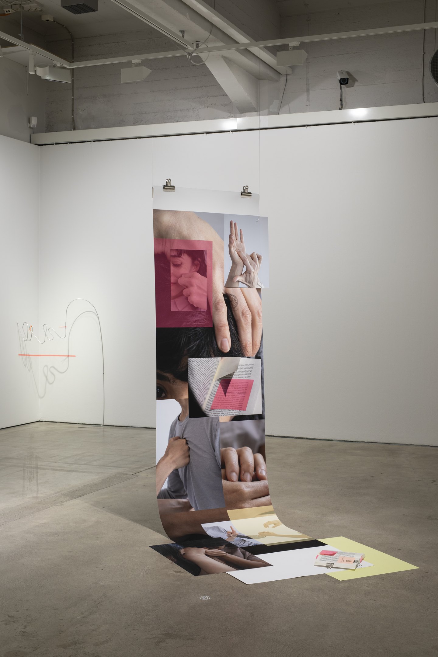 Laura Cemin: Paper notes and pinecones - HAM