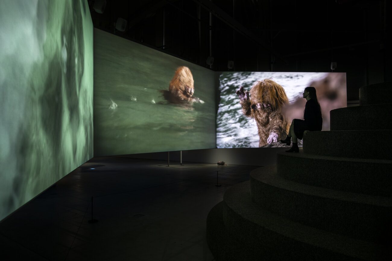 Tori Wrånes: BIG WATER - HAM