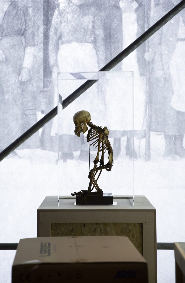 Gustafsson & Haapoja: Museum of Becoming - HAM
