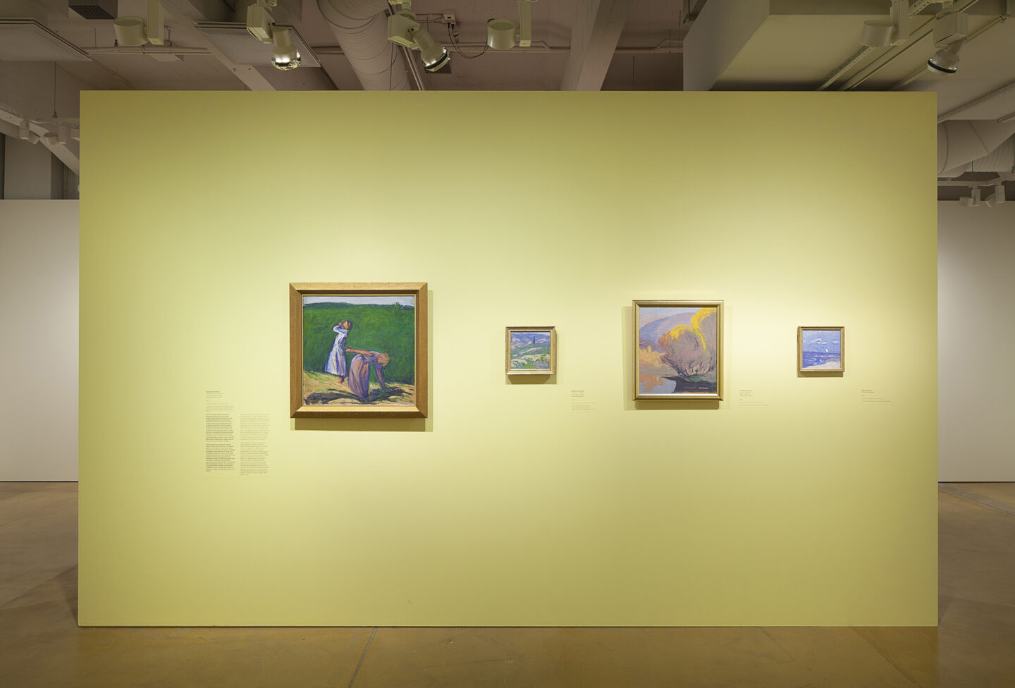 Ellen Thesleff – Minä maalaan kuin jumala - HAM